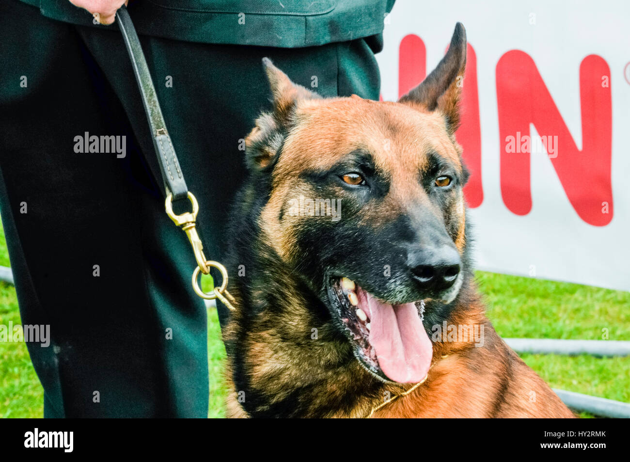 BELFAST, NORTHERN IRELAND. 22 MAY 2016 - PD Mike from the PSNI, with ...
