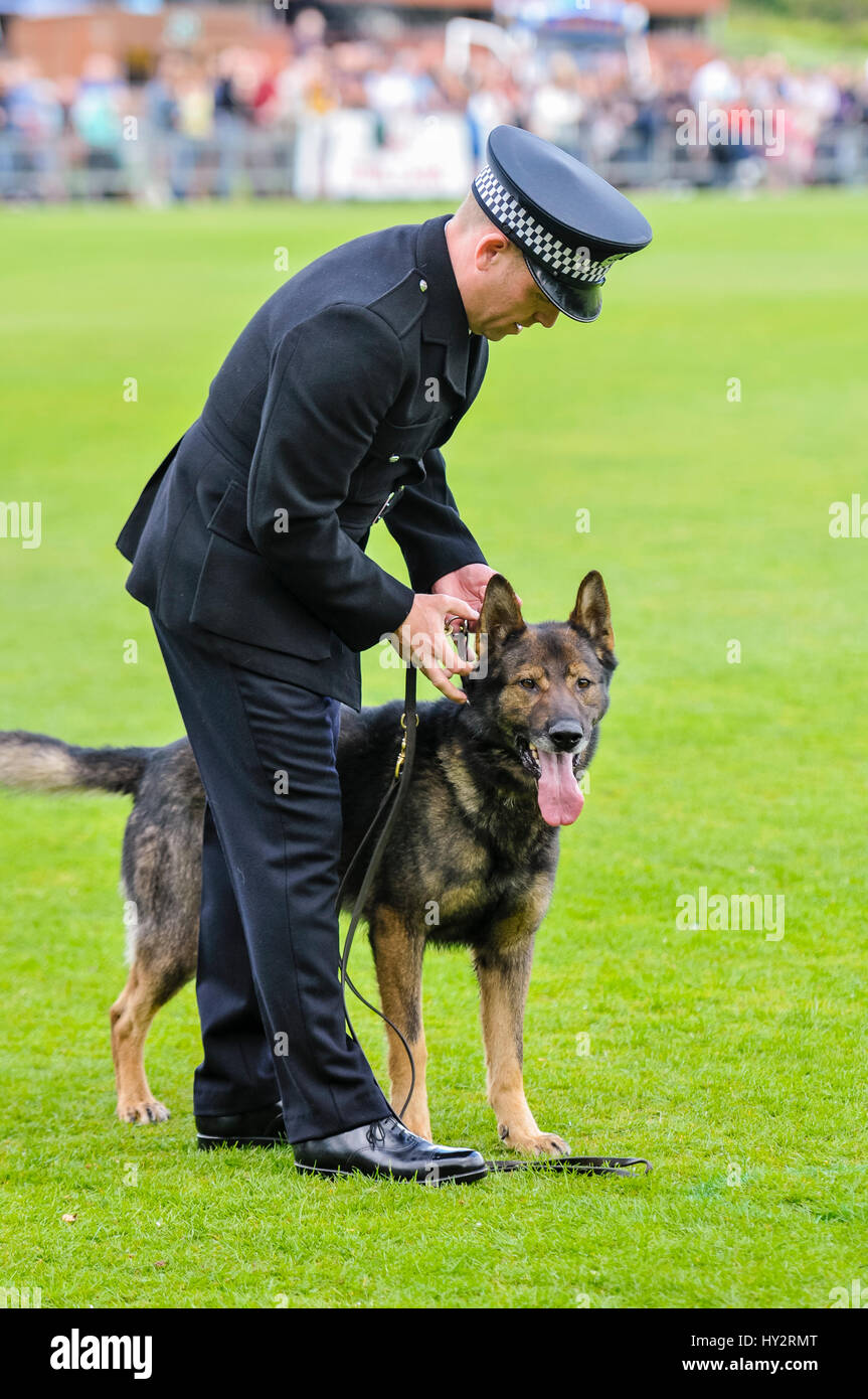 Police dog training scotland hi-res stock photography and images - Alamy