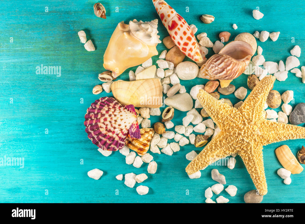 Starfish, shells, and pebbles on vibrant turquoise background Stock ...