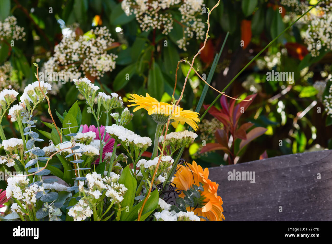 Spring flowers on garden bench hi-res stock photography and images - Alamy