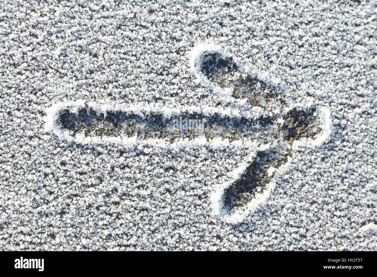 Painted arrow hi-res stock photography and images - Alamy