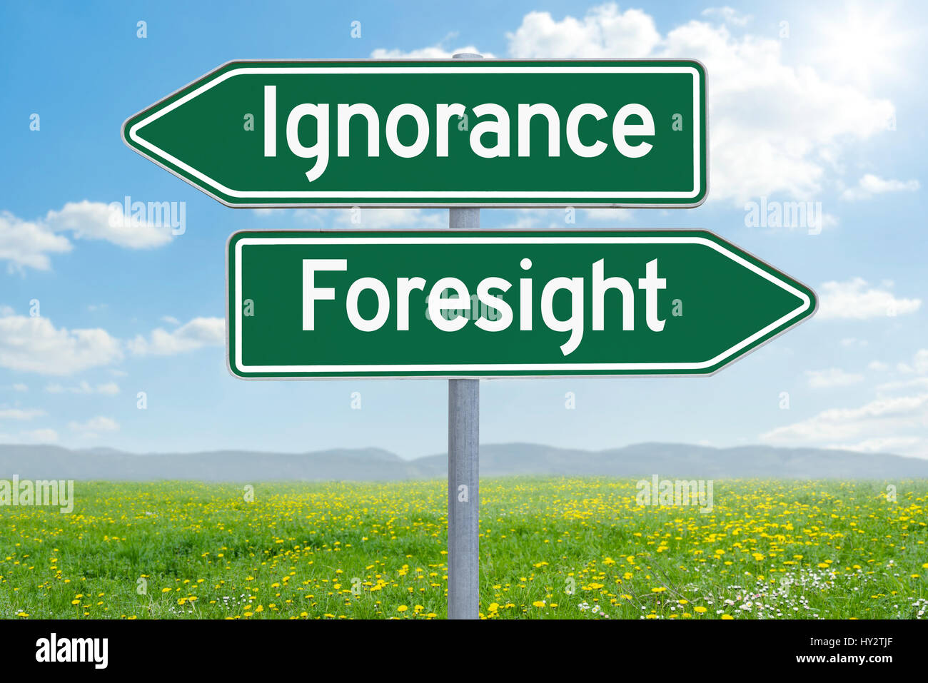 Two green direction signs - Ignorance or Foresight Stock Photo - Alamy