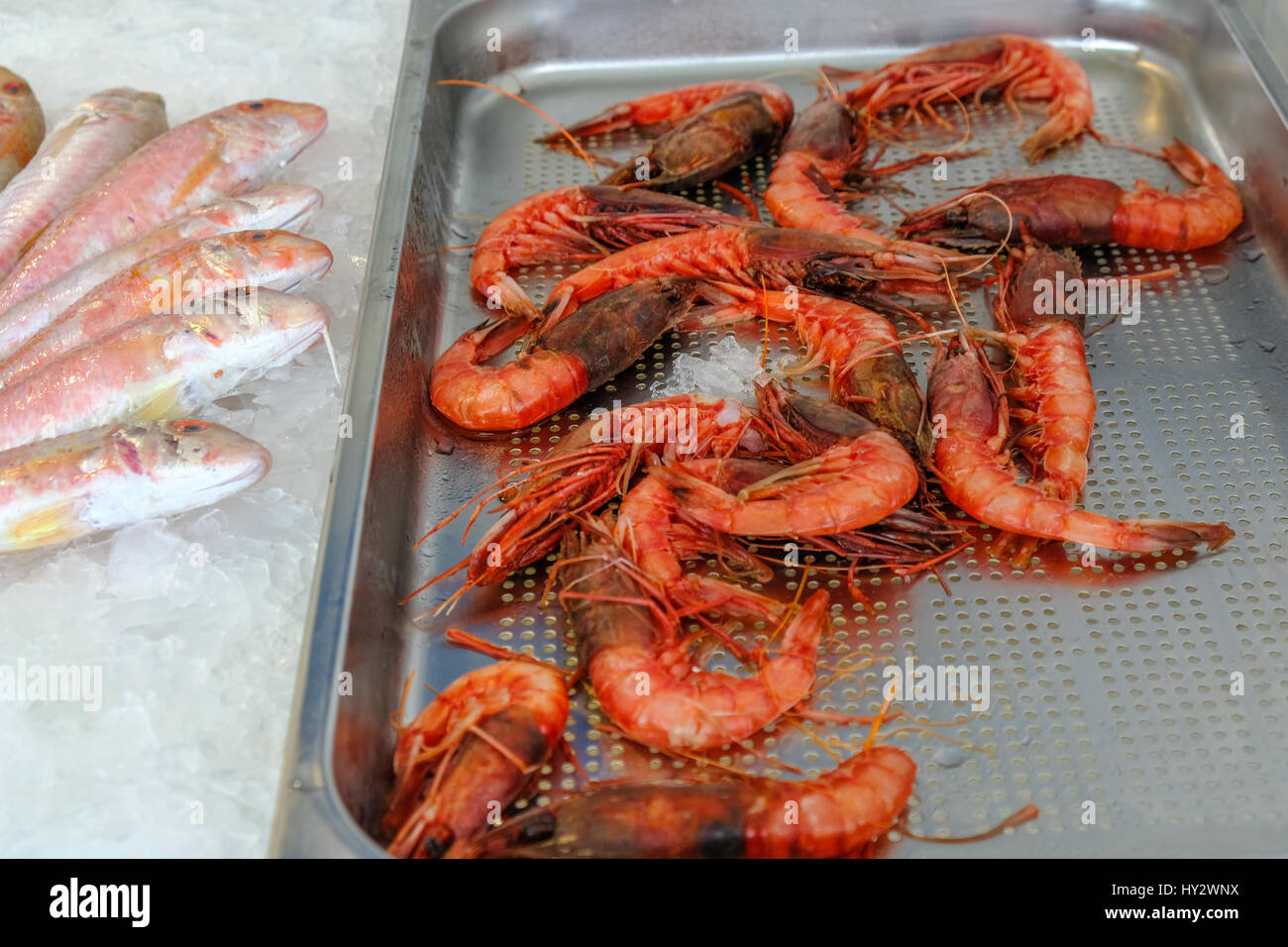 Freshly caught red prawns at the Limassol fish market Stock Photo - Alamy