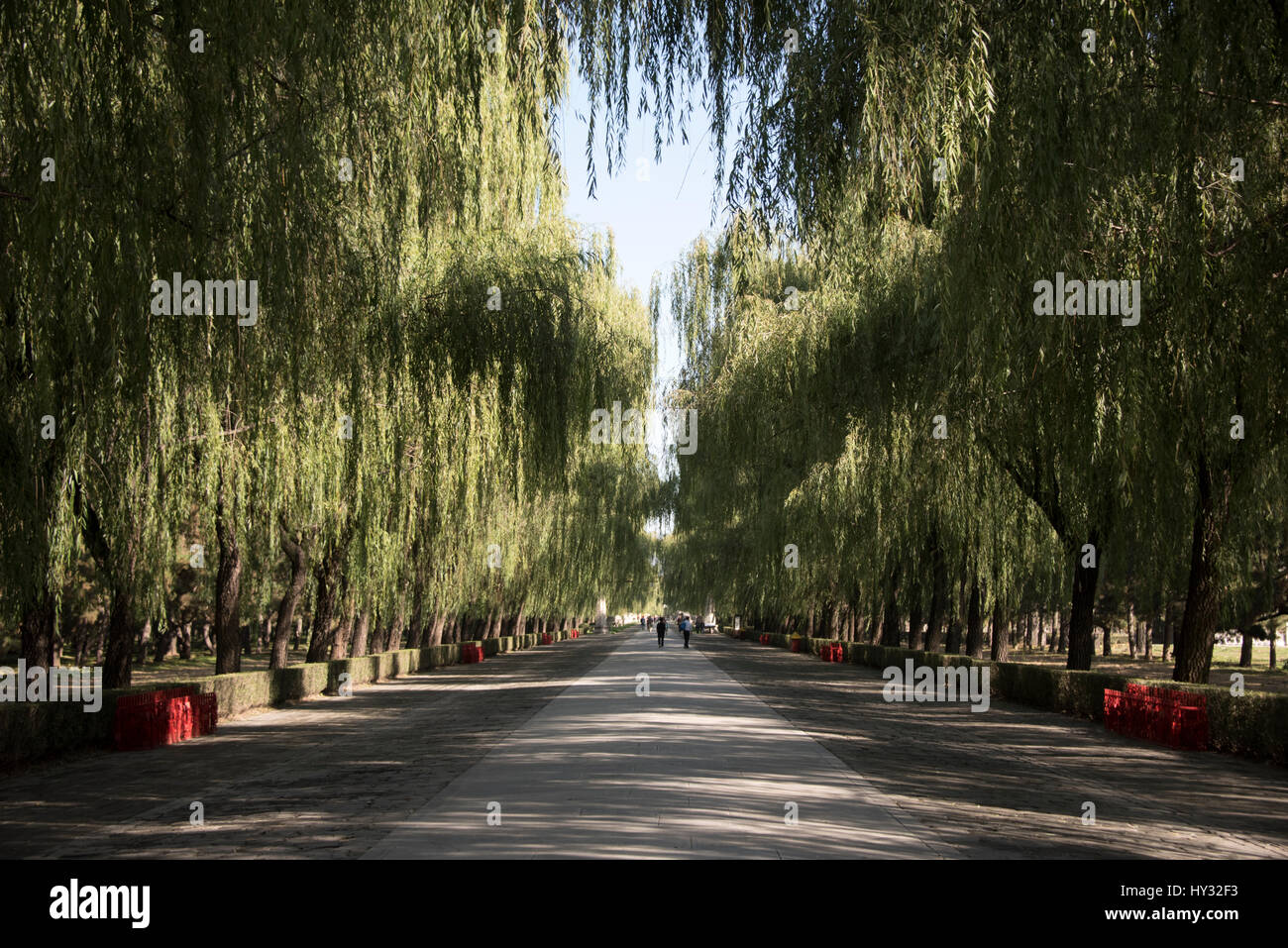 Sacred Way Beijing, China Stock Photo - Alamy