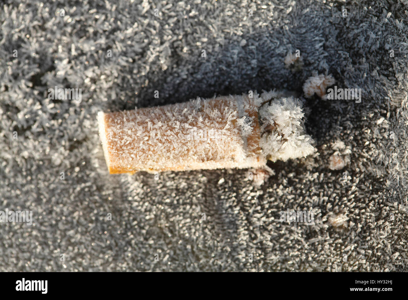 Cigarette Stumps High Resolution Stock Photography and Images - Alamy