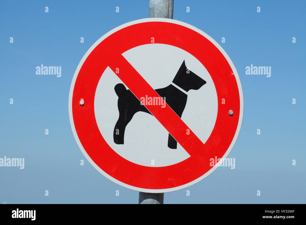Sign Dogs forbidden Stock Photo - Alamy