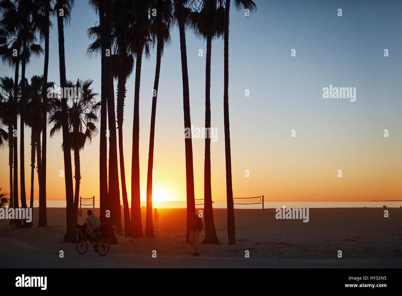 Los angeles california beach palm tree hi-res stock photography and ...