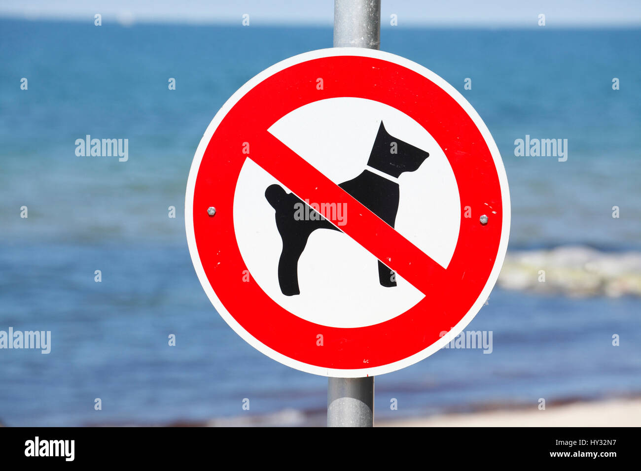 Sign Dogs forbidden Stock Photo - Alamy