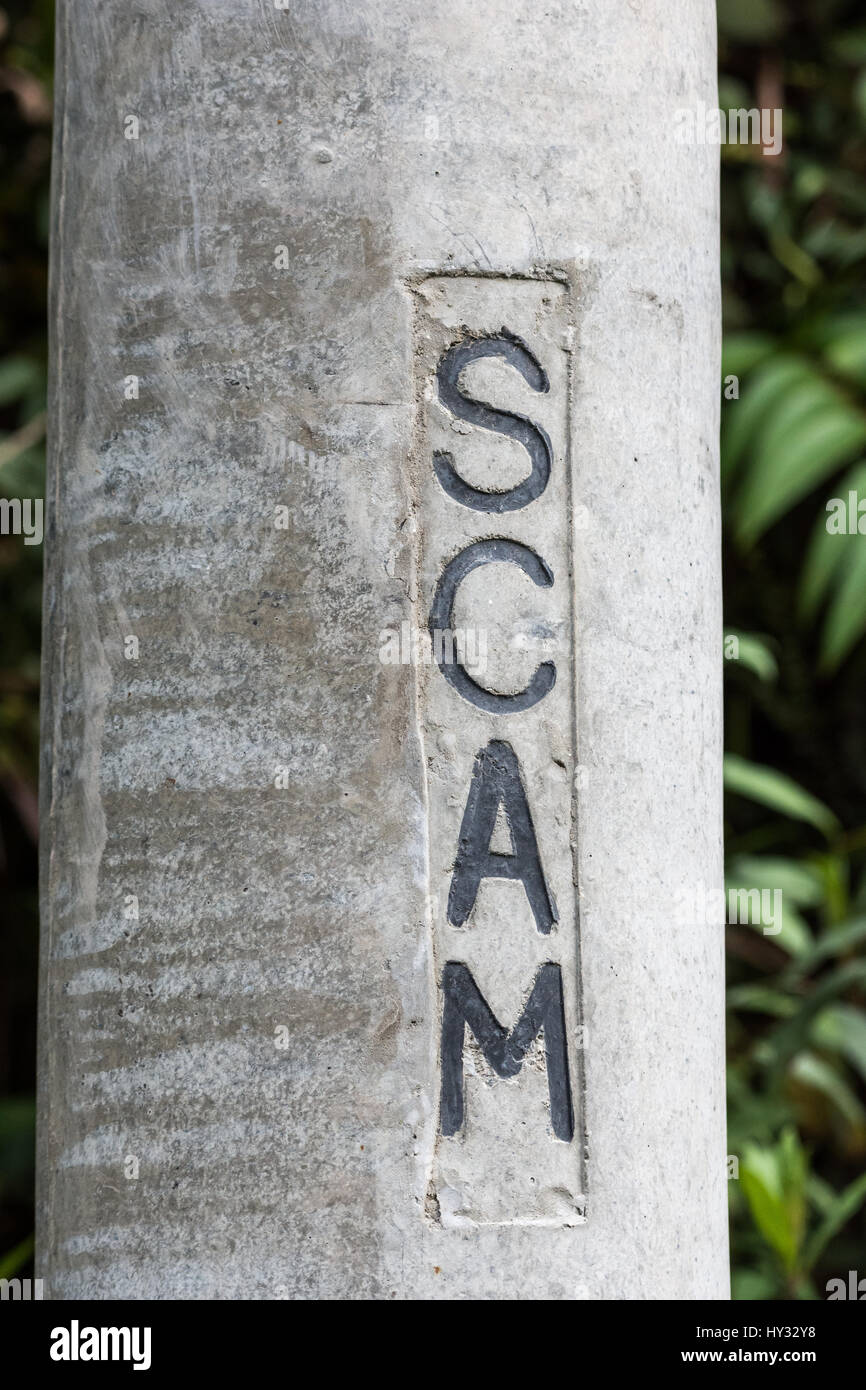 Letters SCAM are imprinted on a concrete electric pole Stock Photo - Alamy