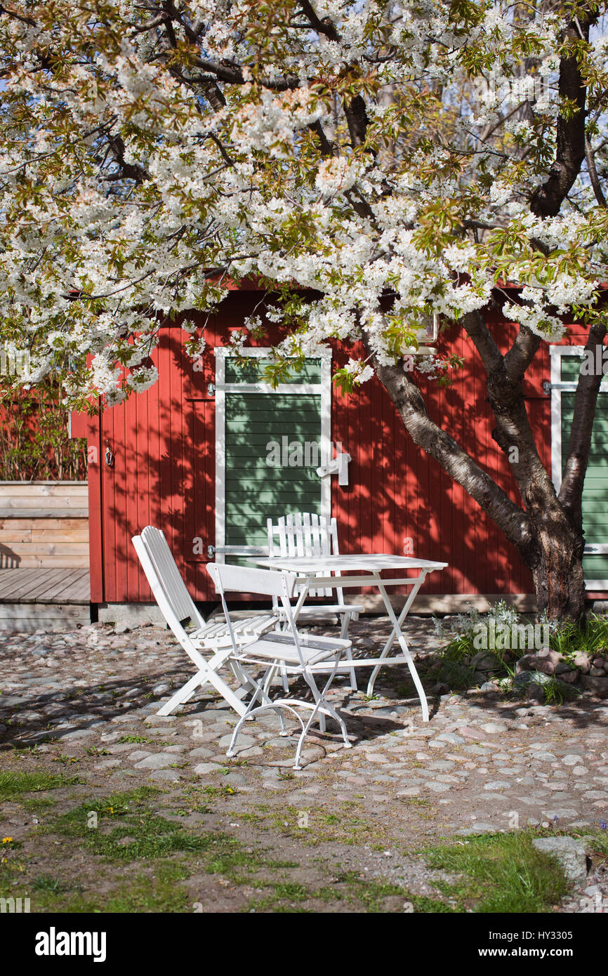 Chairs under tree hi-res stock photography and images - Alamy