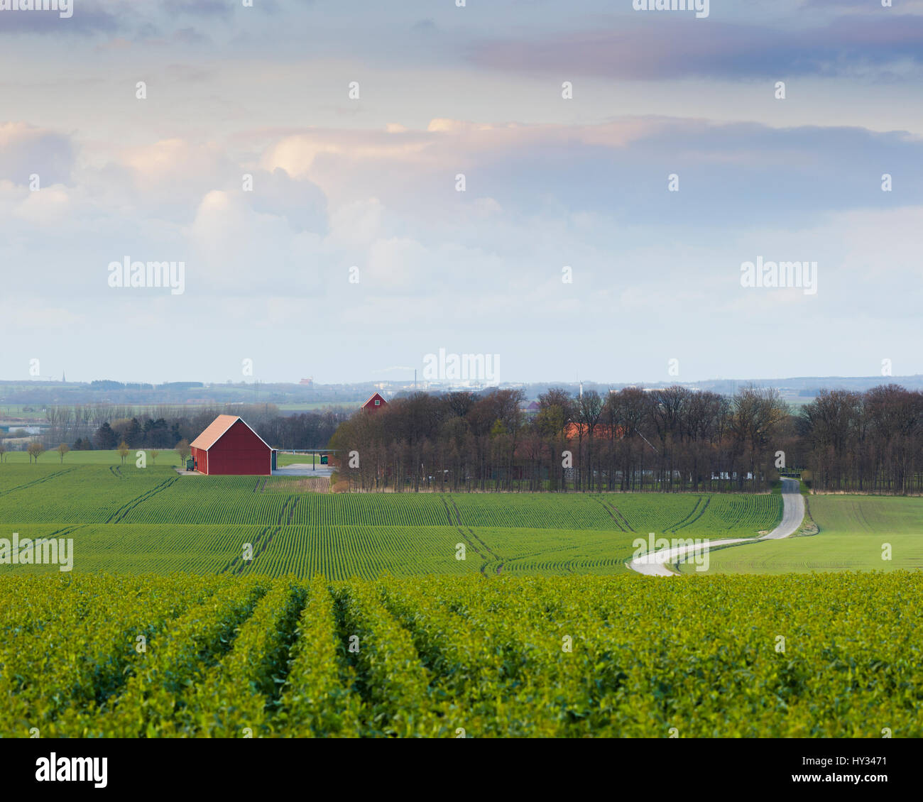 Sweden fields hi-res stock photography and images - Alamy