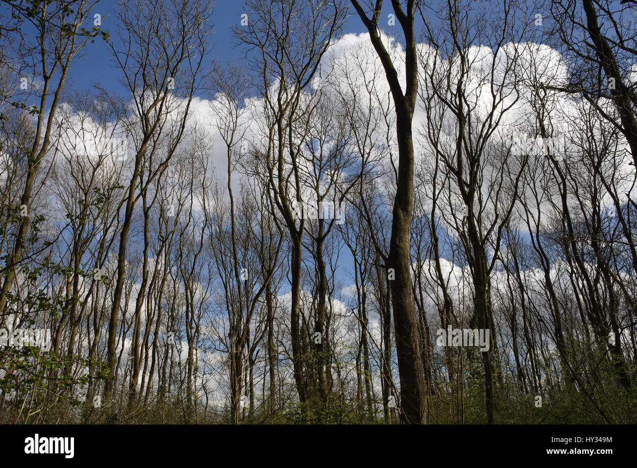 Best cloud photo hi-res stock photography and images - Alamy