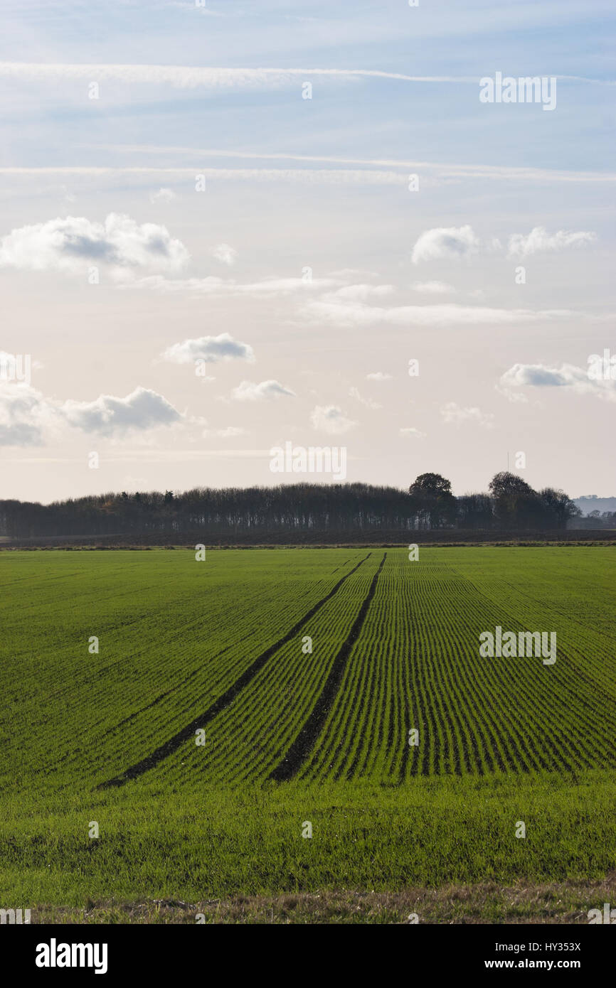 Tractortrack hi-res stock photography and images - Alamy