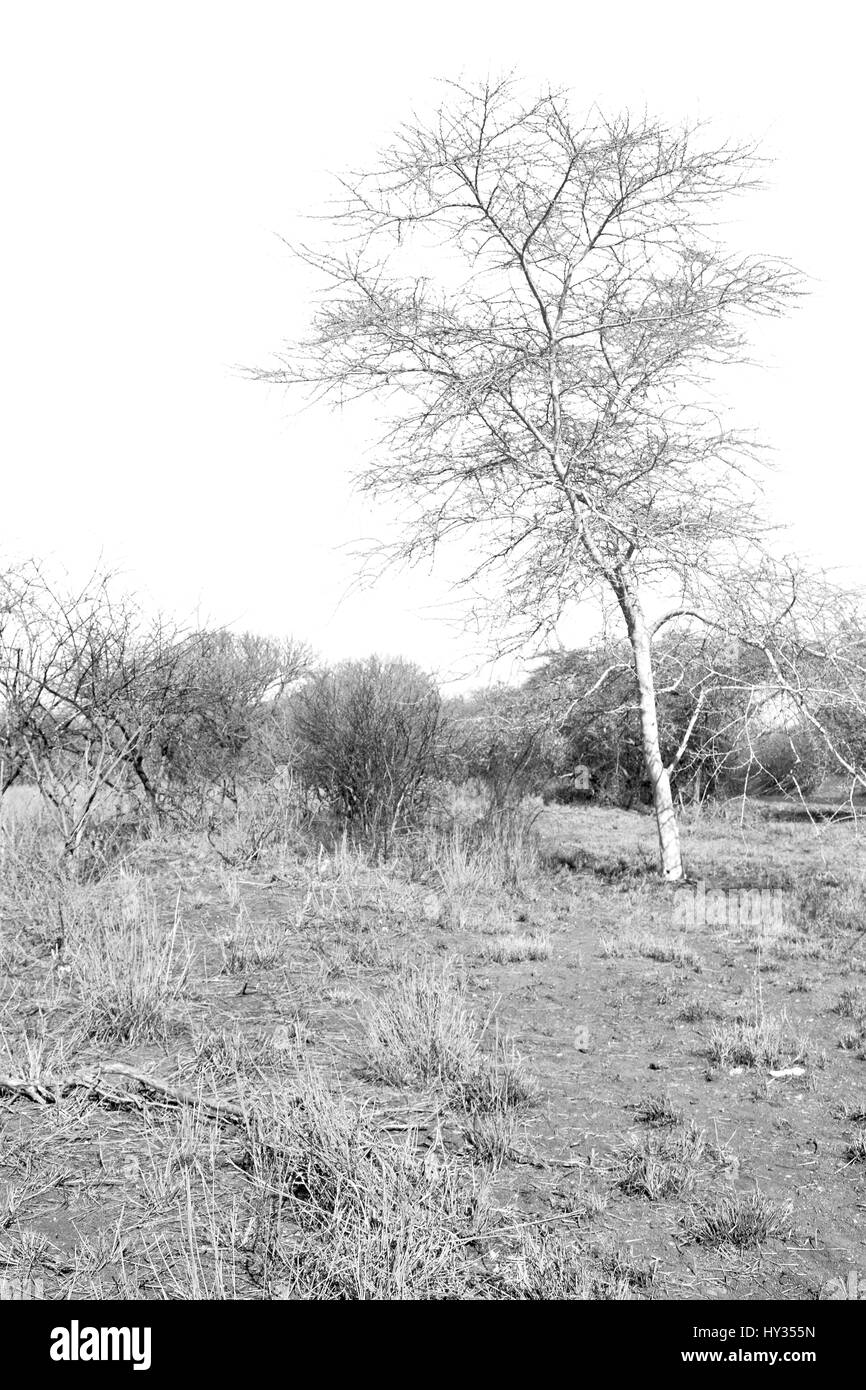Swaziland landscape Black and White Stock Photos & Images - Alamy