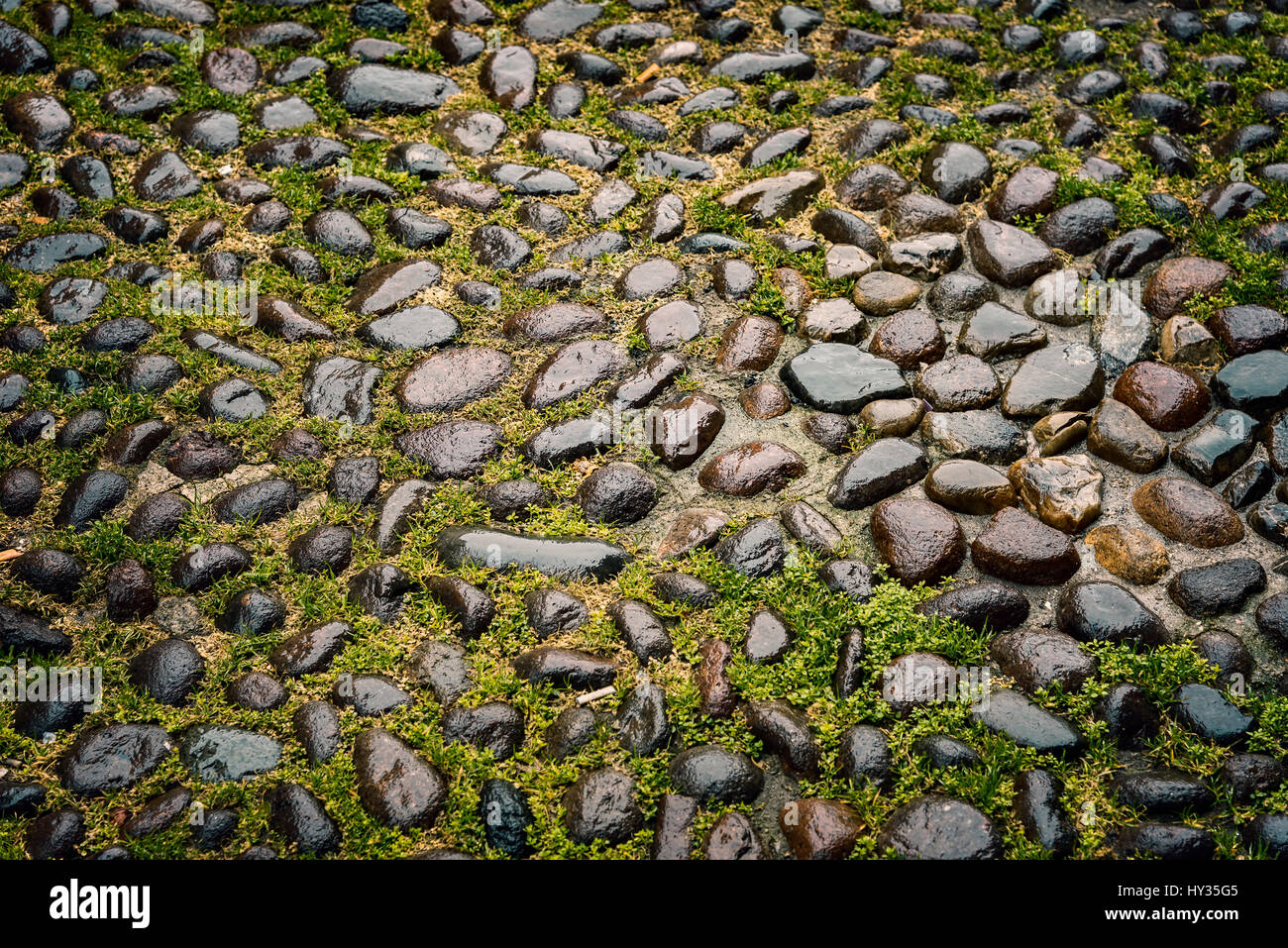 Cobblestone with grass texture hi-res stock photography and images - Alamy