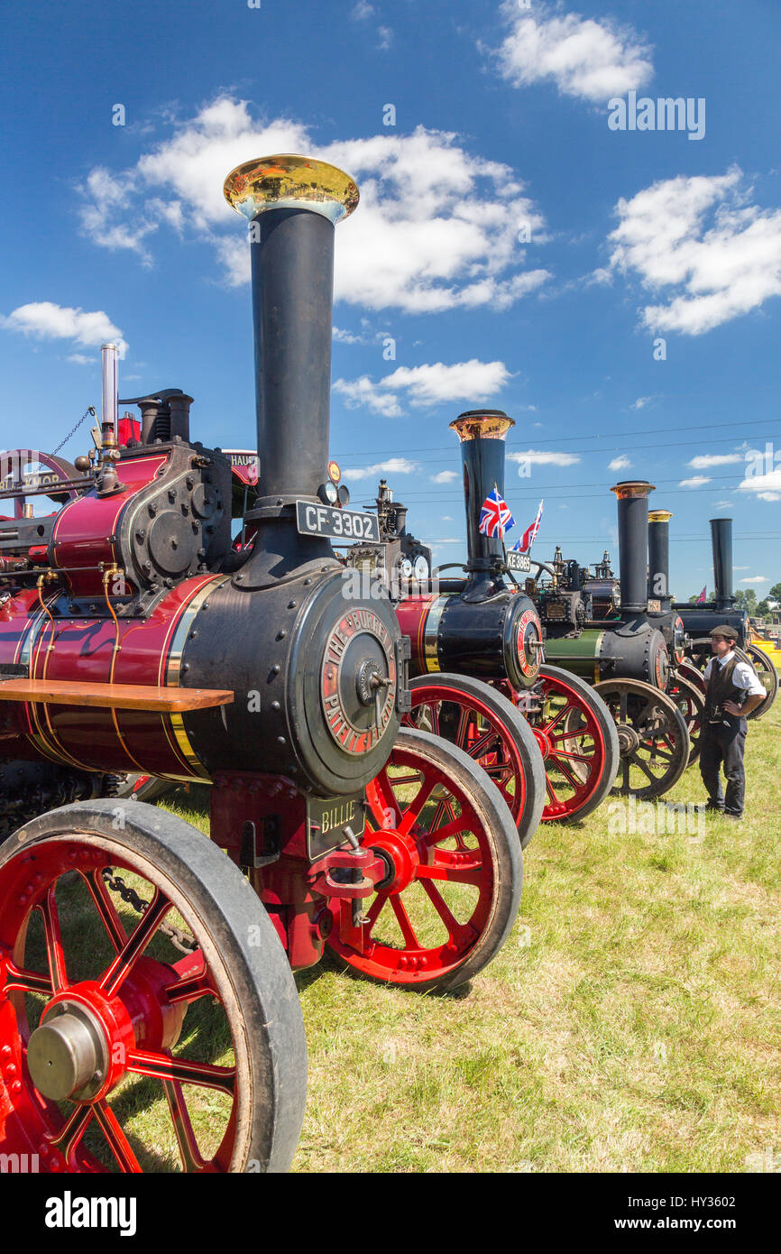 A huge display of vintage restored traction engines in the show ring at ...