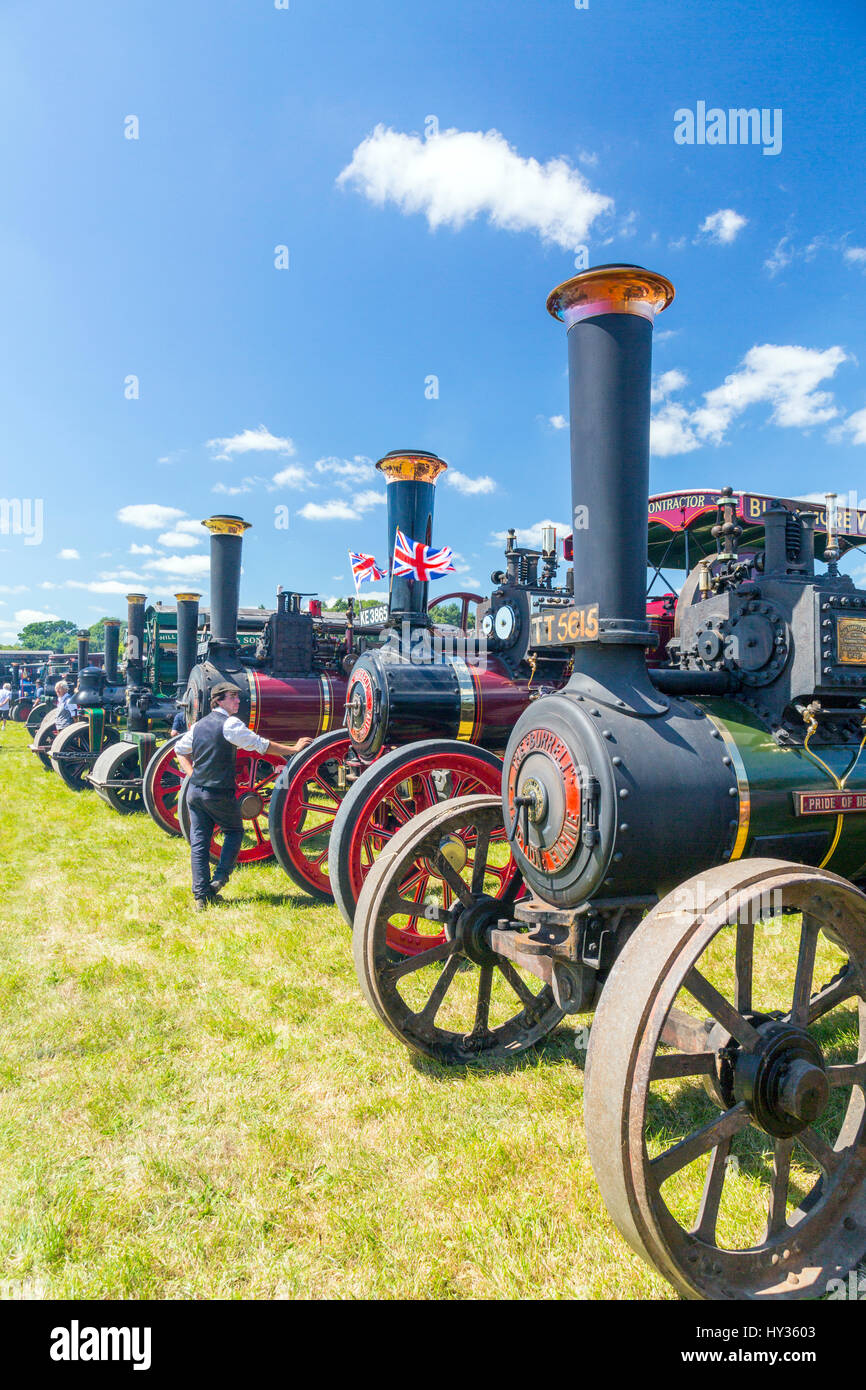 A huge display of vintage restored traction engines in the show ring at ...