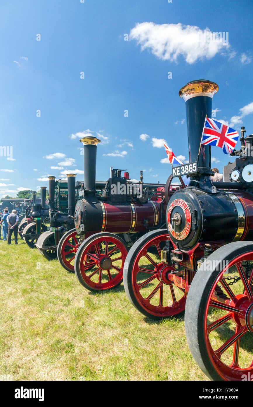 A huge display of vintage restored traction engines in the show ring at ...