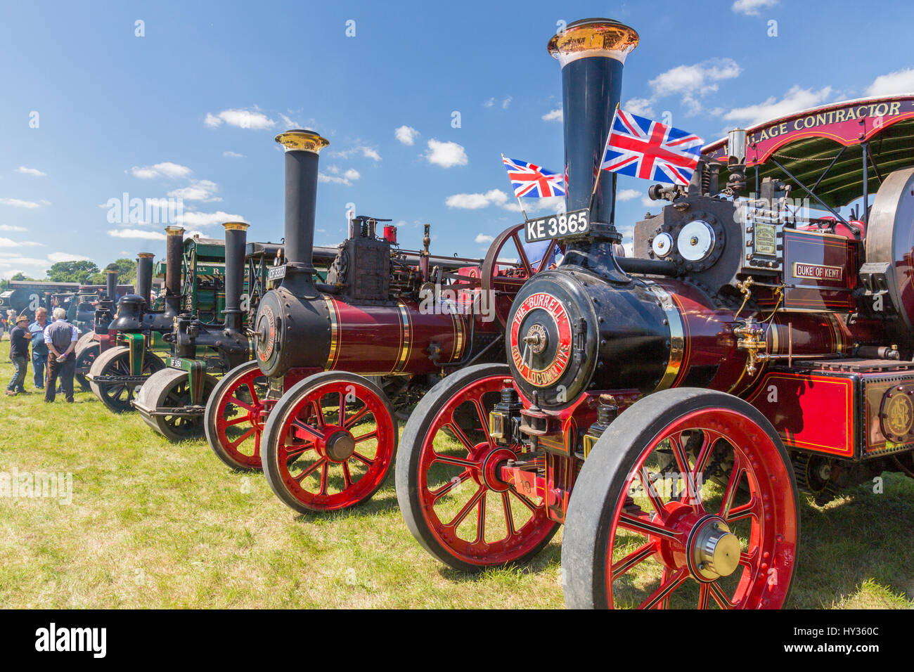 A huge display of vintage restored traction engines in the show ring at ...