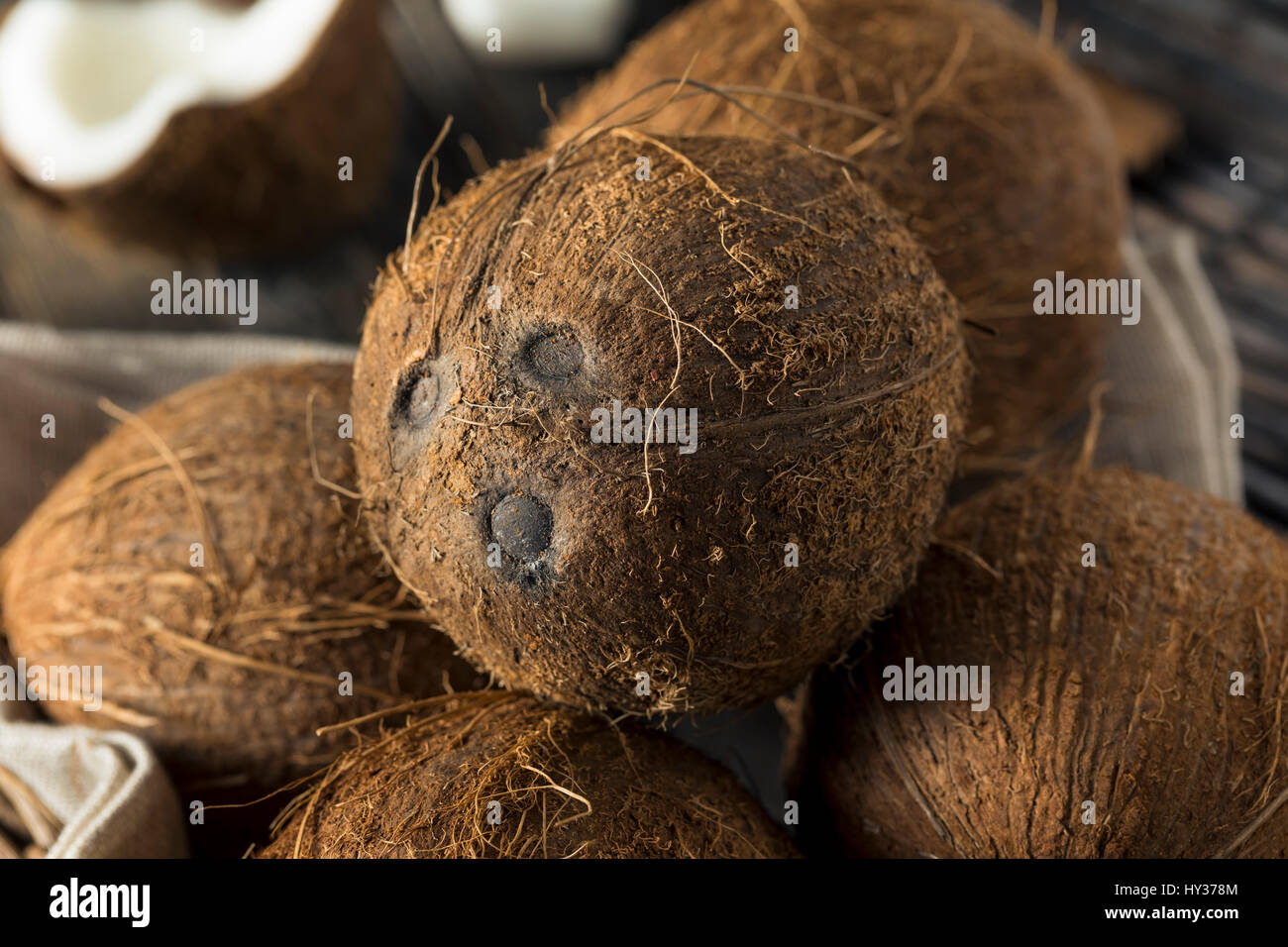 Raw Organic Tropical Brown Coconuts Ready to Open Stock Photo - Alamy