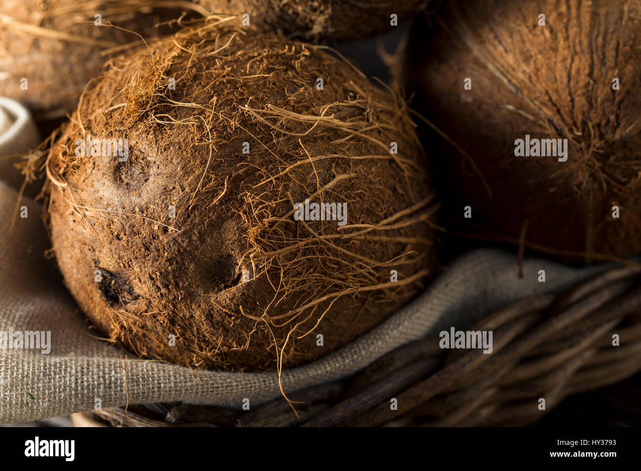 Raw Organic Tropical Brown Coconuts Ready to Open Stock Photo - Alamy