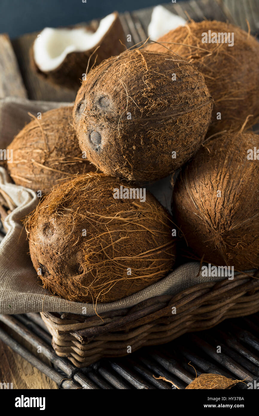 Hard coconuts hi-res stock photography and images - Alamy