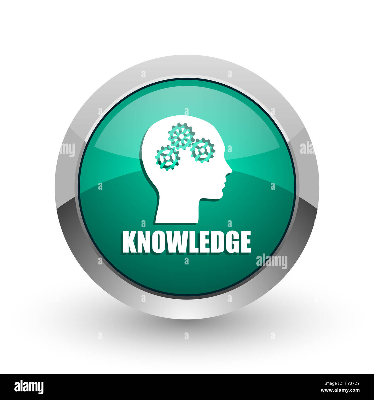 Knowledge silver metallic chrome web design green round internet icon ...
