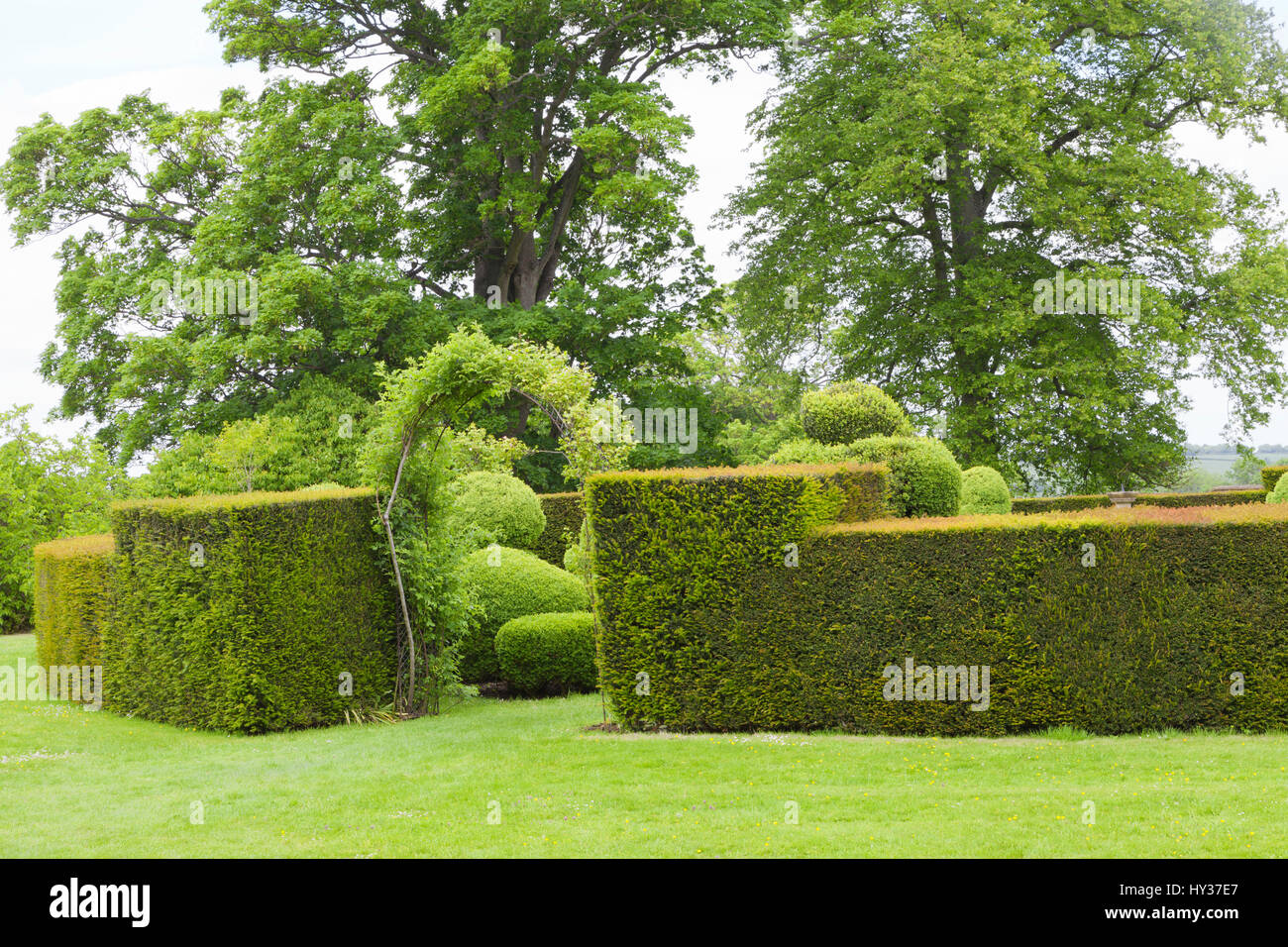 Trimmed, circle hedge with archway opening to an inner topiary garden ...