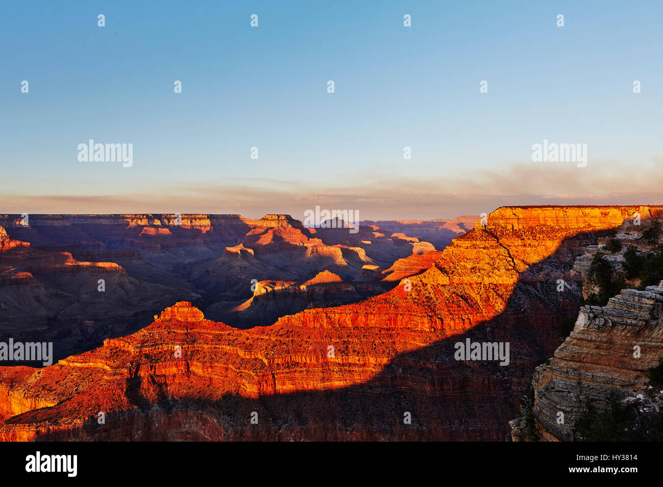 Sunlight spots hi-res stock photography and images - Alamy