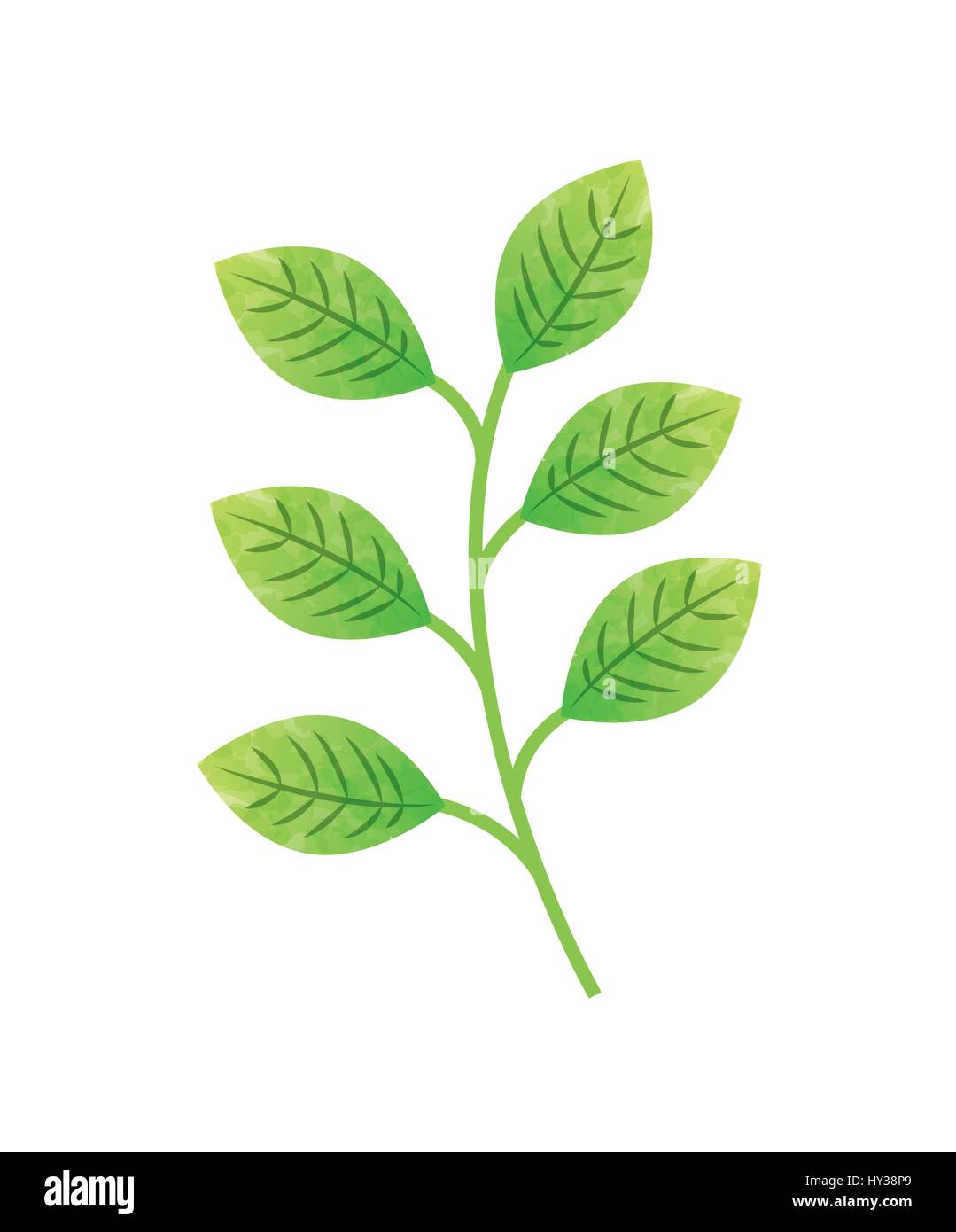 stemp with leaves icon over white background. colorul design. vector ...