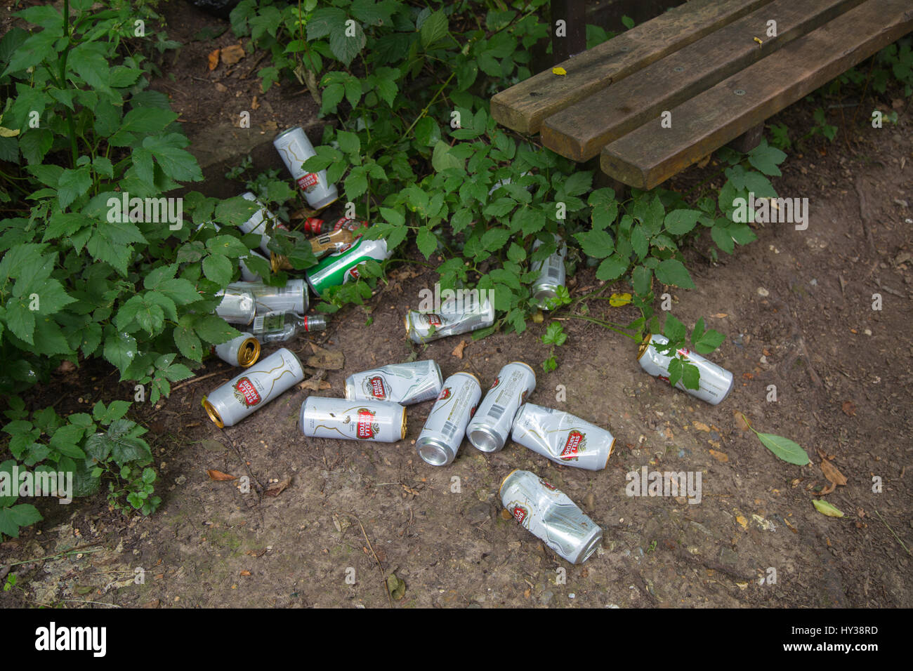 discarded empty lager cans litter a path by a bench in north London ...