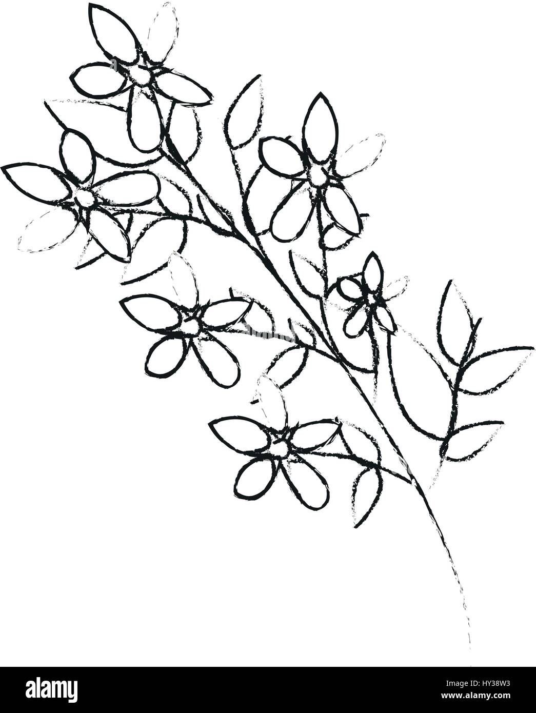 delicate flower icon image Stock Vector Image & Art - Alamy