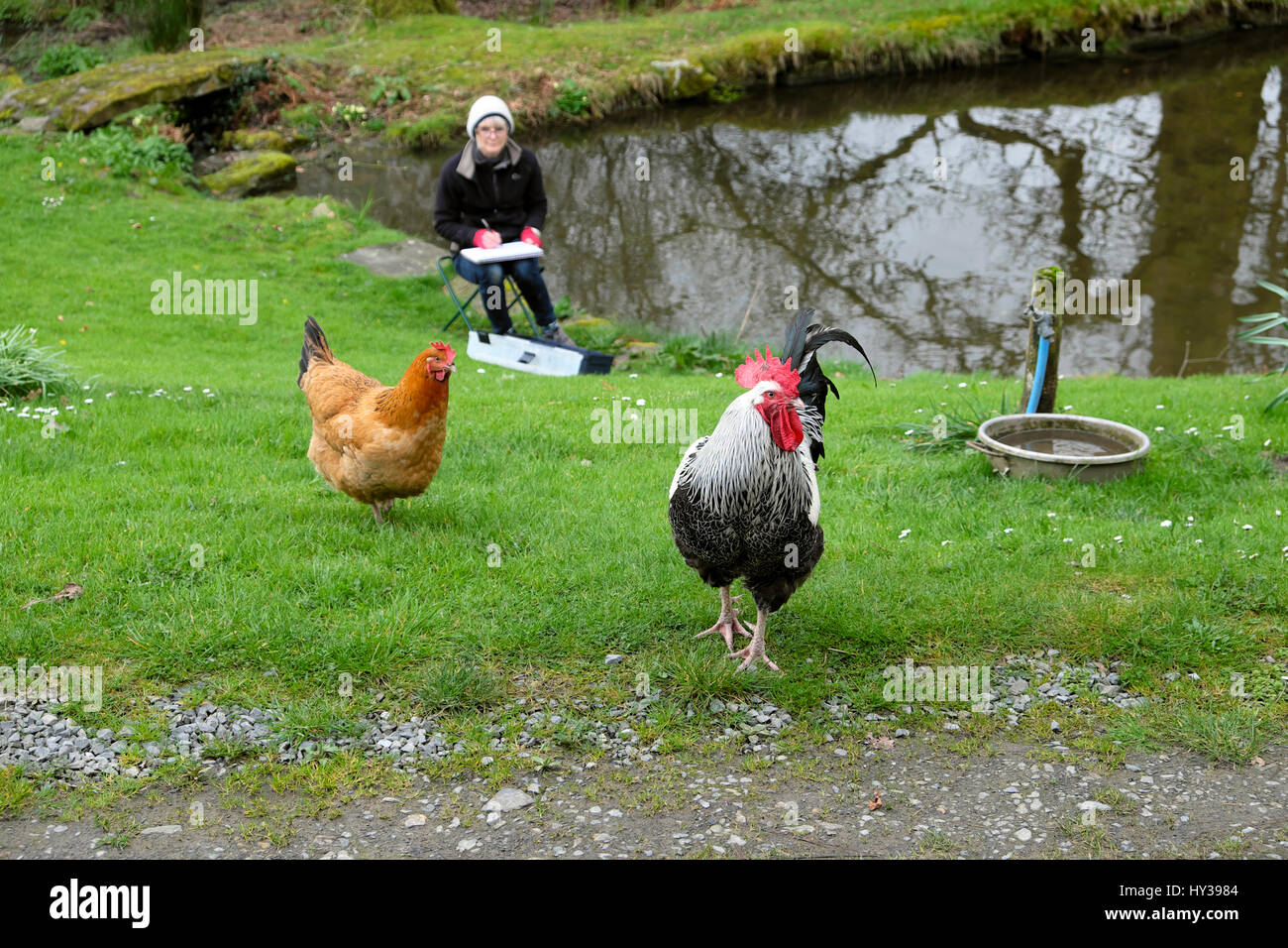 A woman artist sitting outside by a garden pond in spring drawing a ...