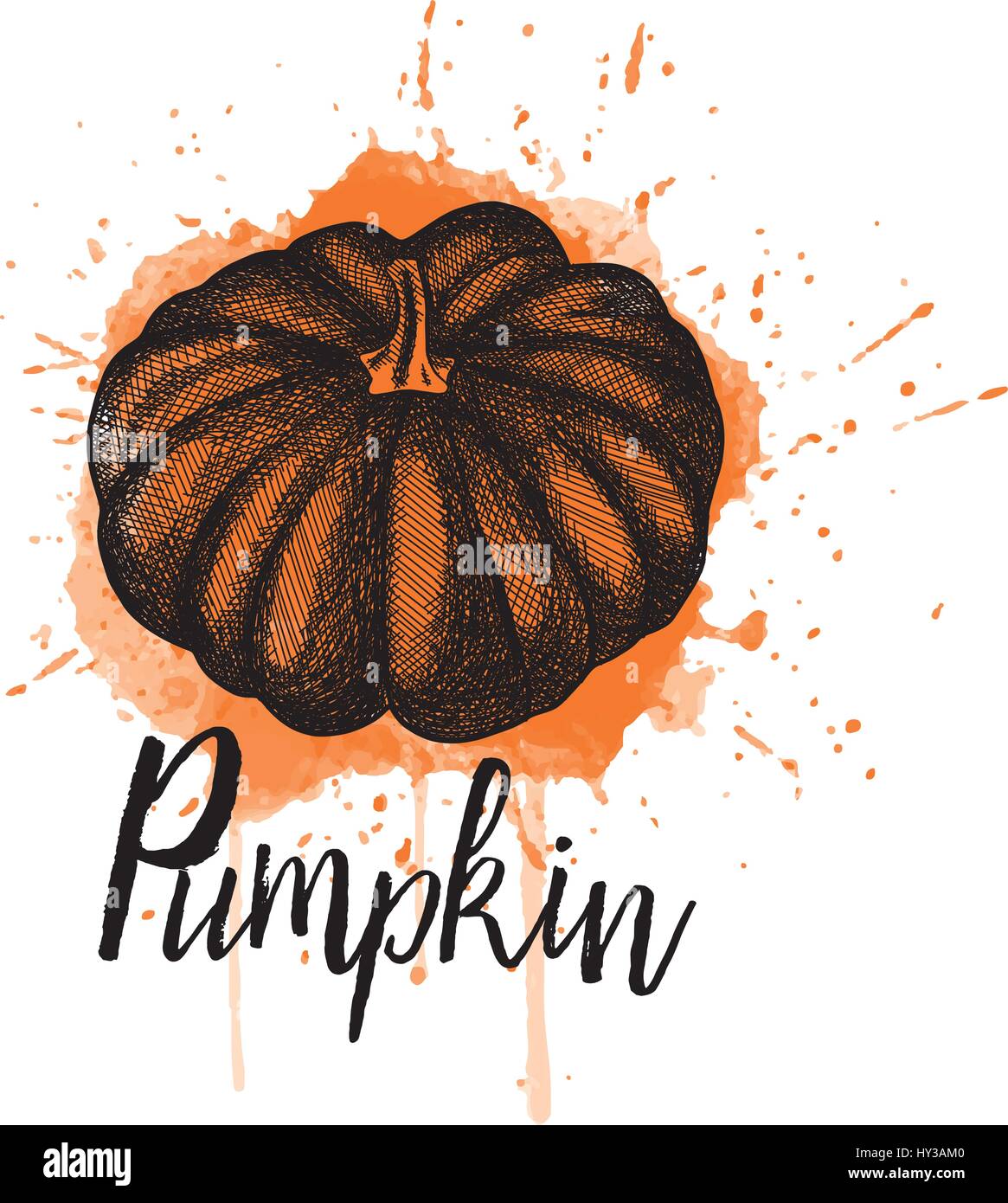 Hand drawn pumpkin autumn Stock Vector Images - Alamy