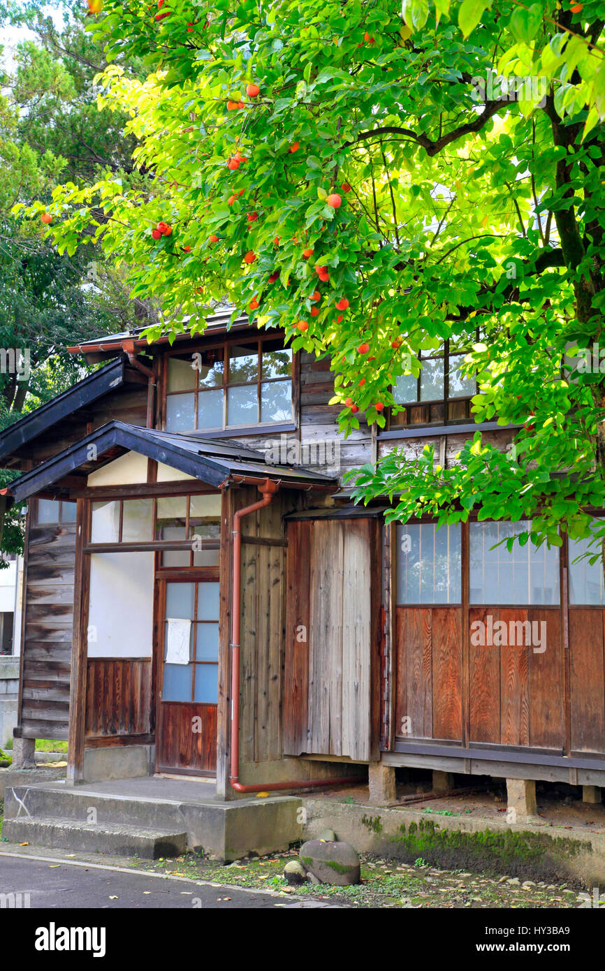Isoroku yamamoto hi-res stock photography and images - Alamy