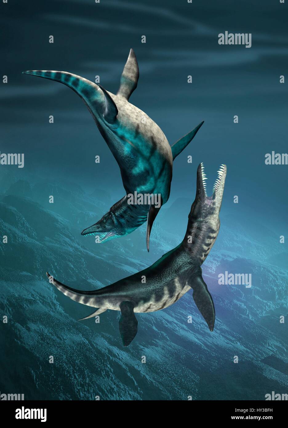 Liopleurodon prehistoric marine reptiles, illustration Stock Photo - Alamy