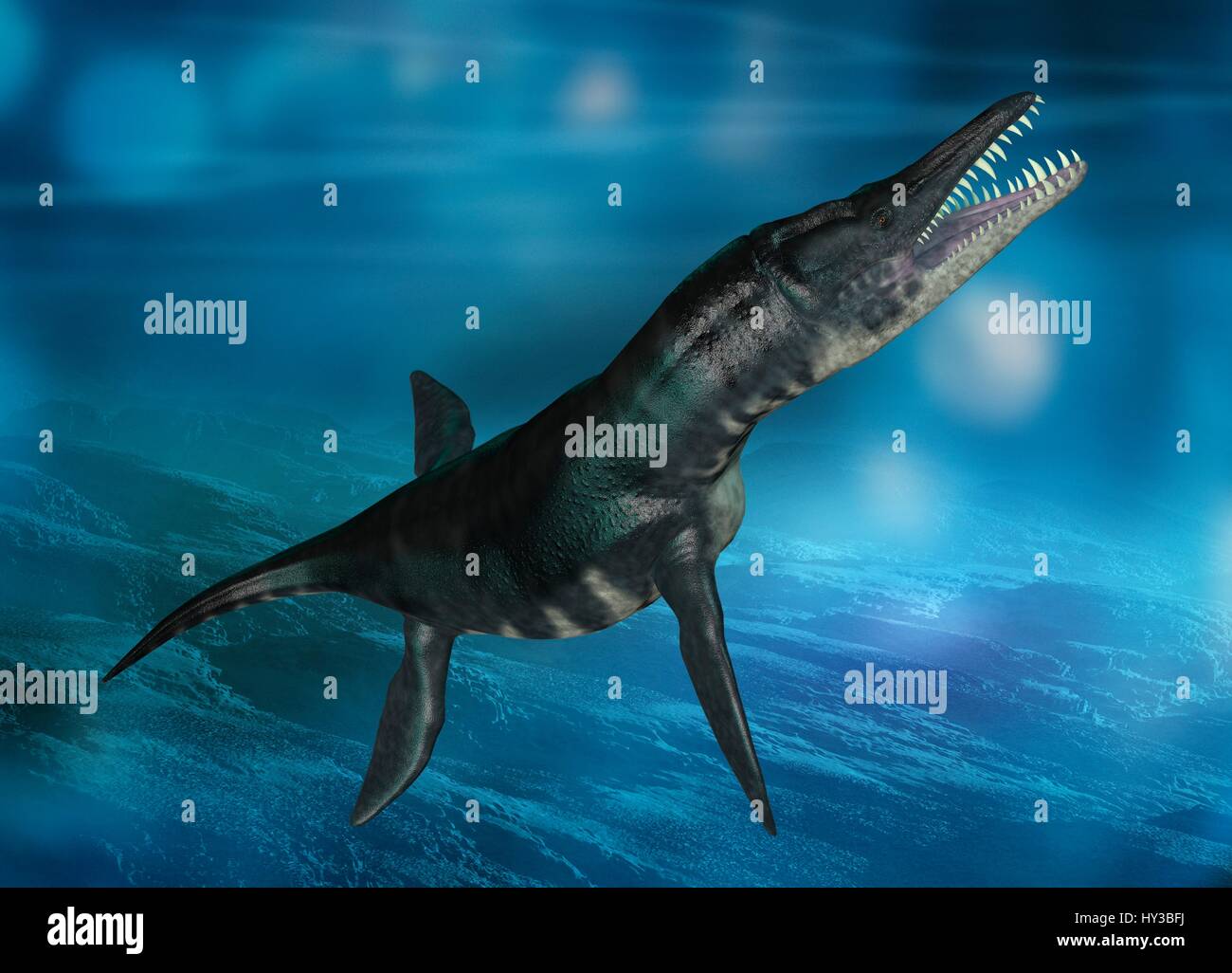 Liopleurodon hi-res stock photography and images - Alamy
