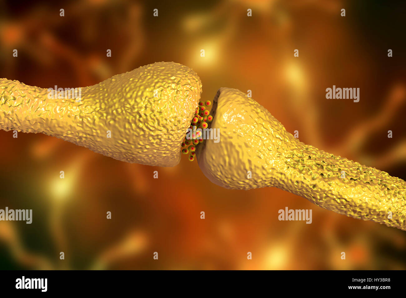 Two nerve cells illustration hi-res stock photography and images - Alamy