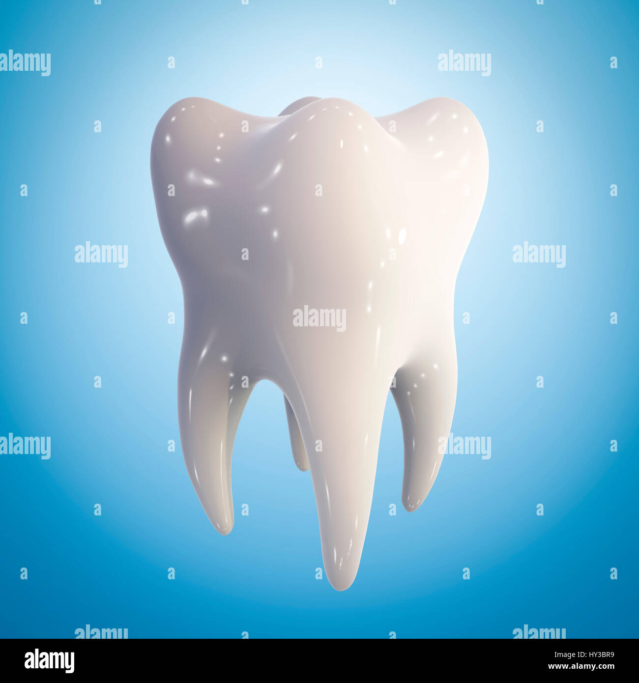 Healthy molar tooth, computer illustration Stock Photo - Alamy