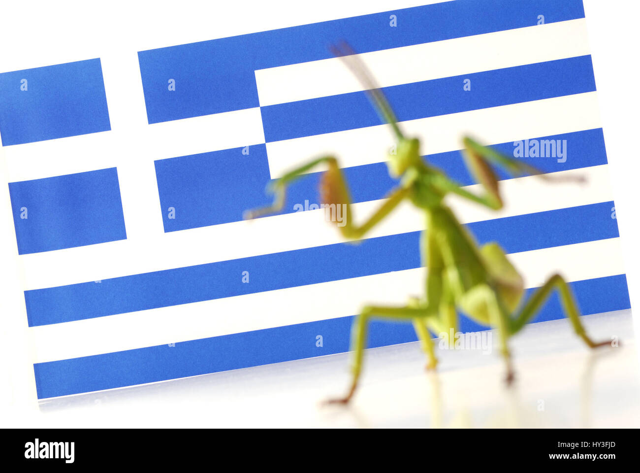 Grasshopper as a symbol of Hedge fund before a flag of Greece ...