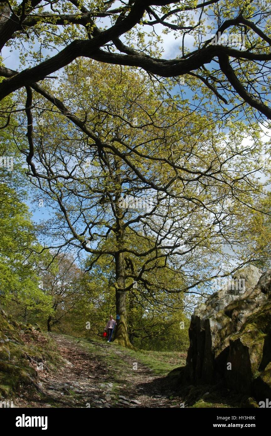 Country views hi-res stock photography and images - Alamy