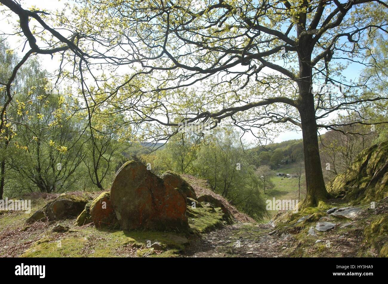Country views hi-res stock photography and images - Alamy