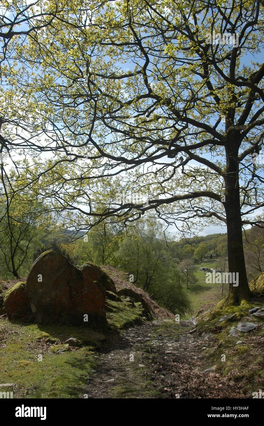 Country views hi-res stock photography and images - Alamy