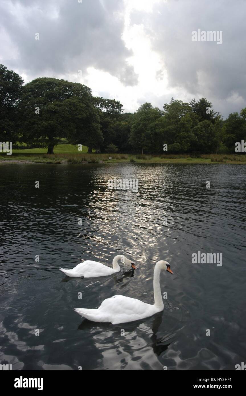 Country Views High Resolution Stock Photography and Images - Alamy