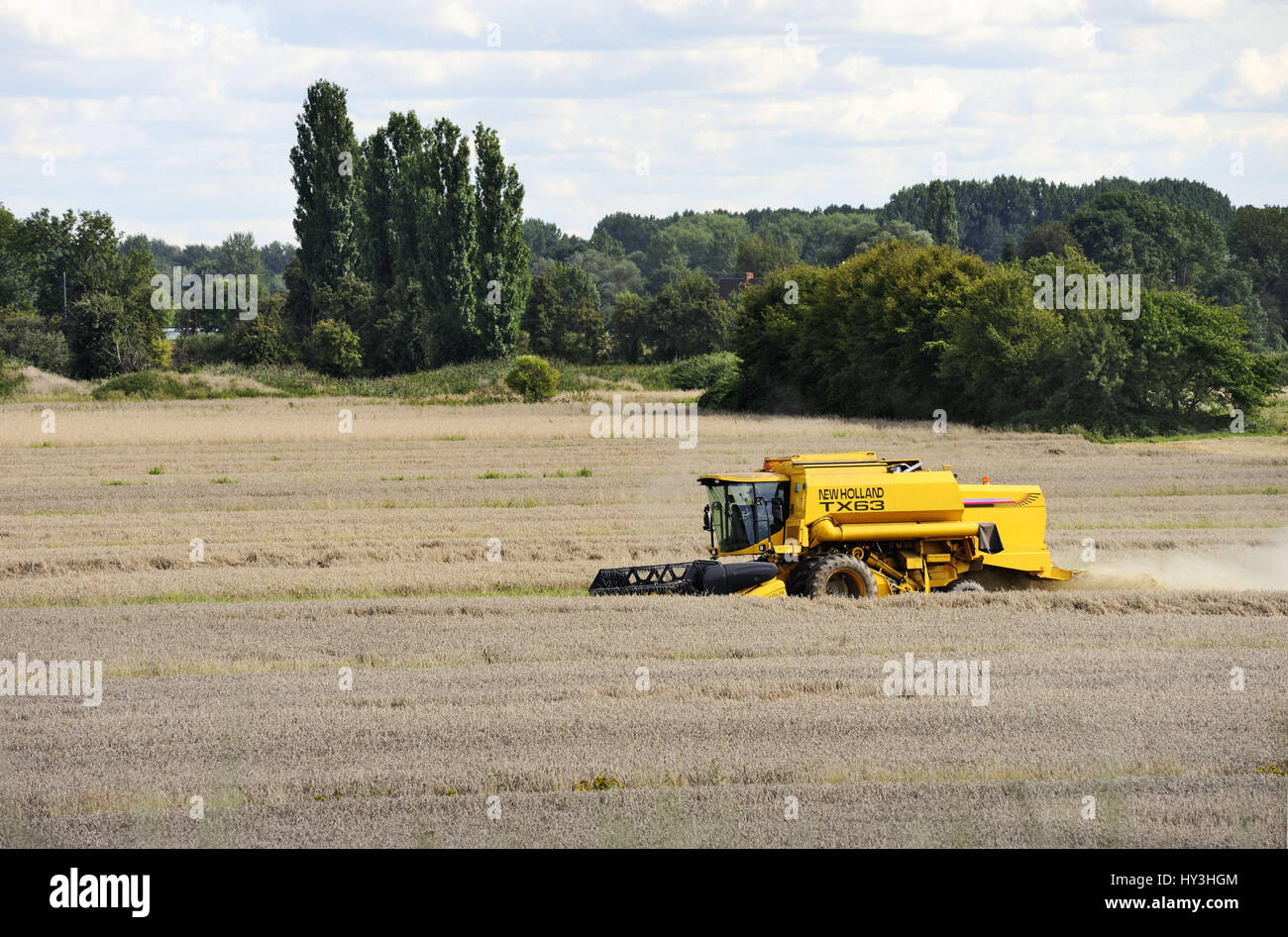Combine harvester with grain harvest in the Spadenland, Hamburg ...