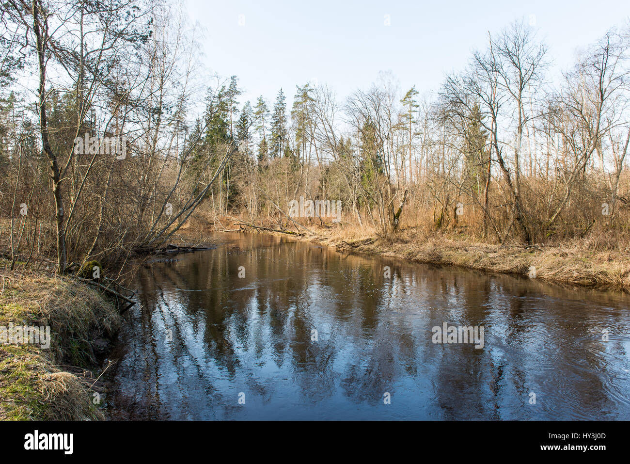scenic spring colored river in country with trees and reflections Stock ...