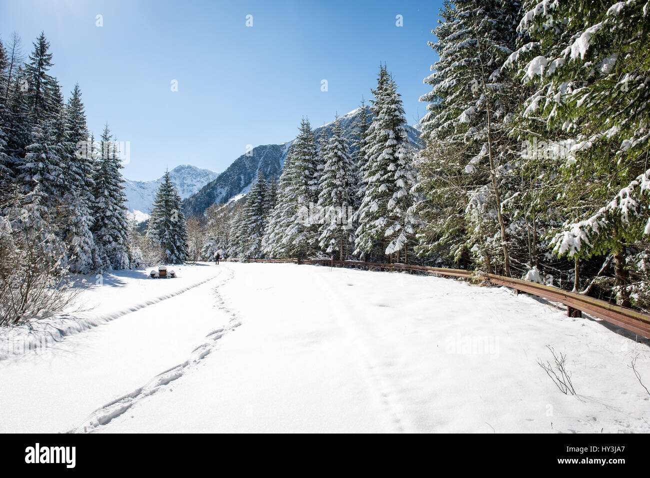 sunny tourist hiking track in winter snow, in western carpathian, tatry ...