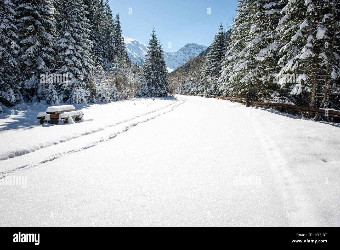 sunny tourist hiking track in winter snow, in western carpathian, tatry ...