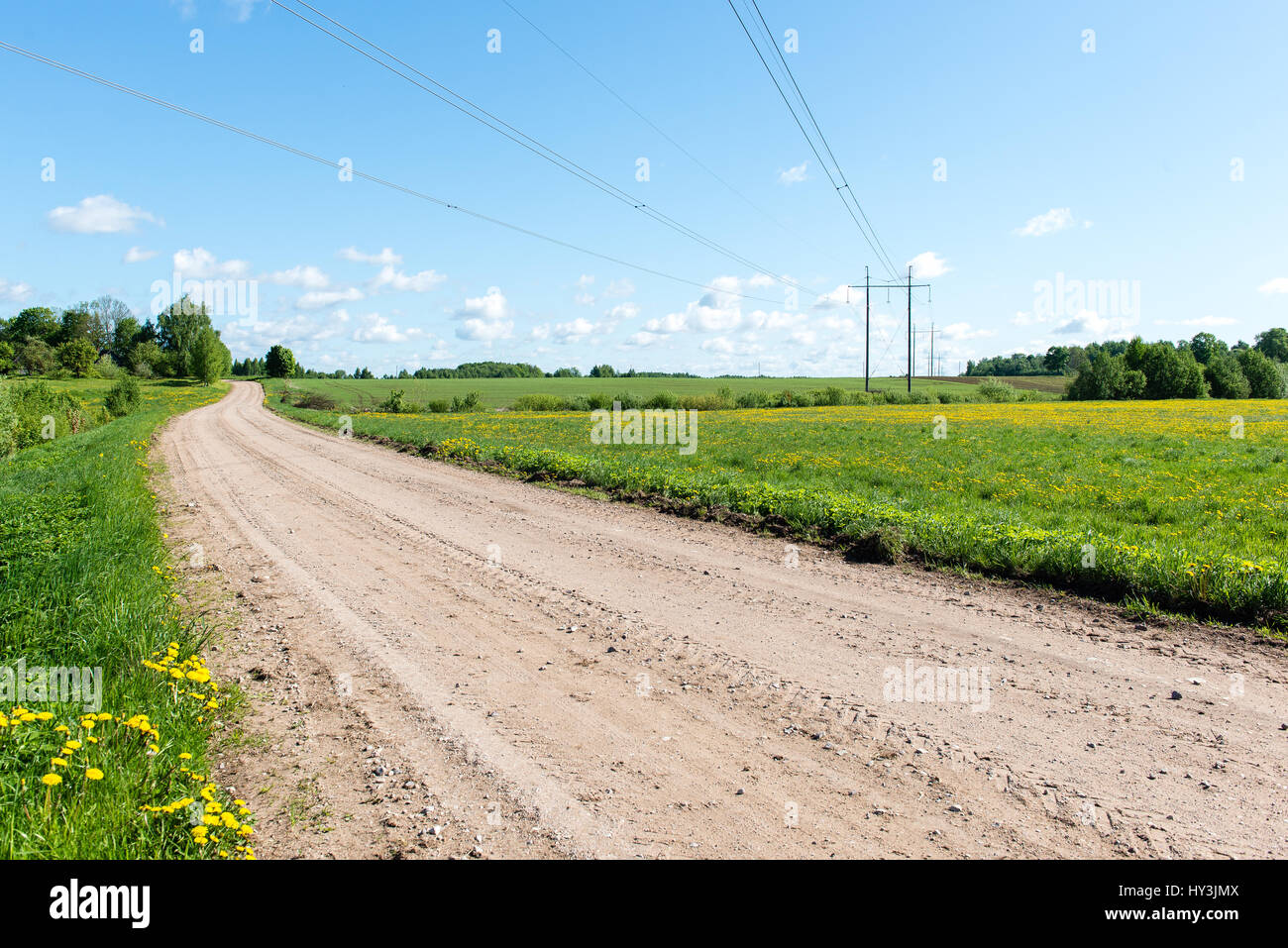 empty road in the countryside with trees and meadows in surrounding ...
