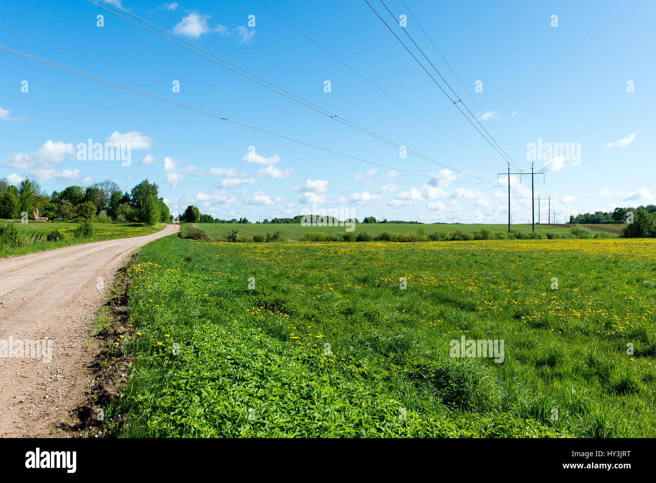 empty road in the countryside with trees and meadows in surrounding ...